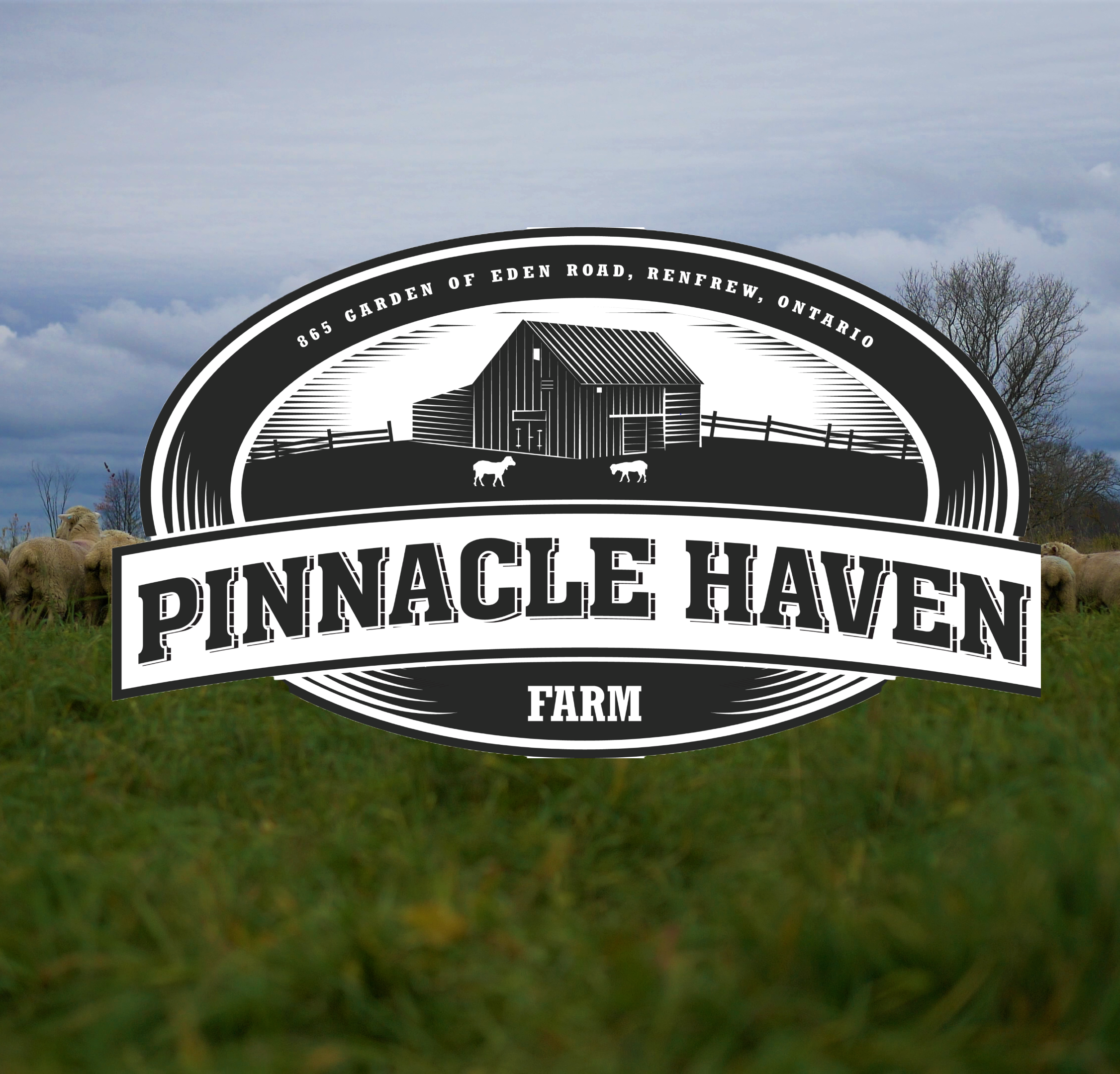 Pinnacle Haven Farm – Local Ontario Lamb